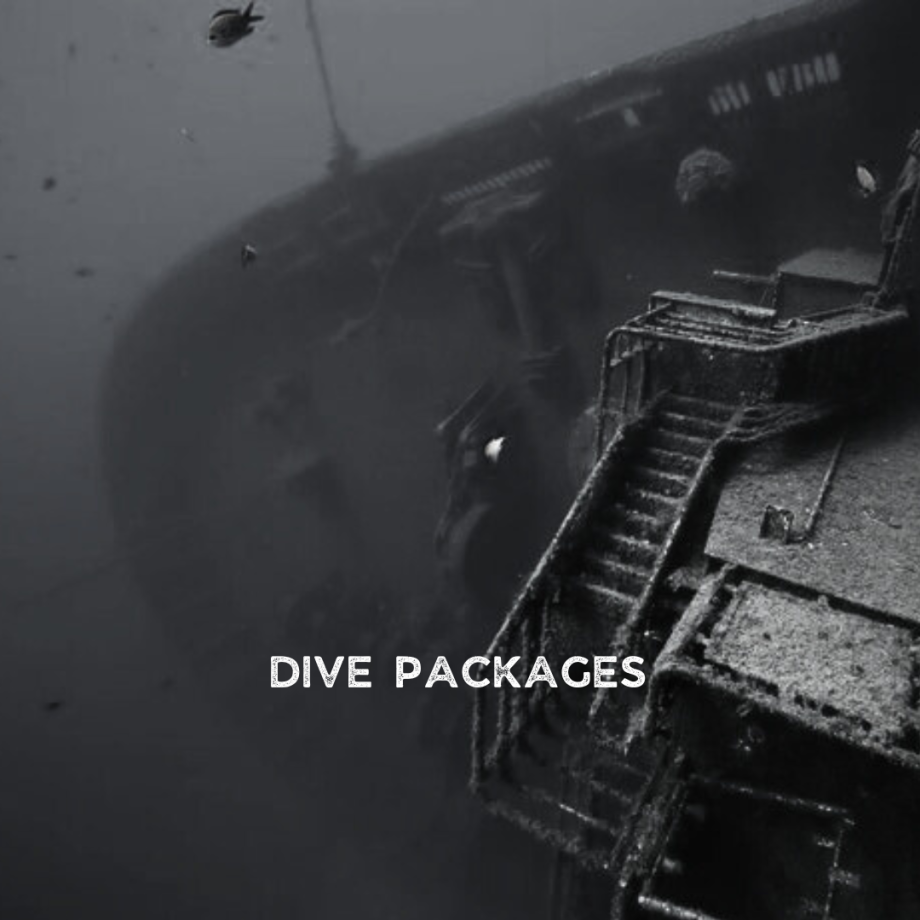 Dive-In Larnaca – The Best Diving In Cyprus